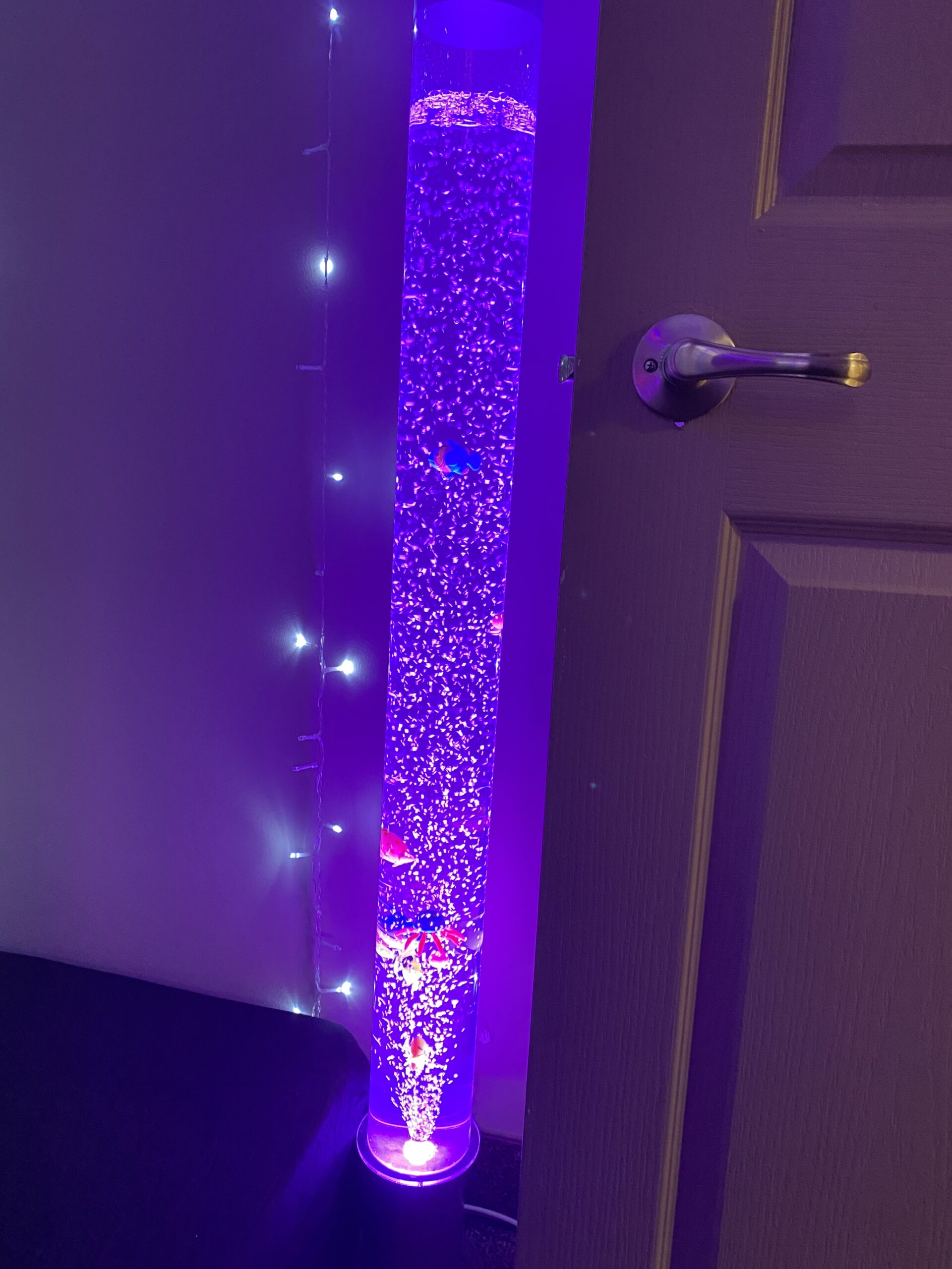 What is a Snoezelen room? – The Guelph Community Foundation